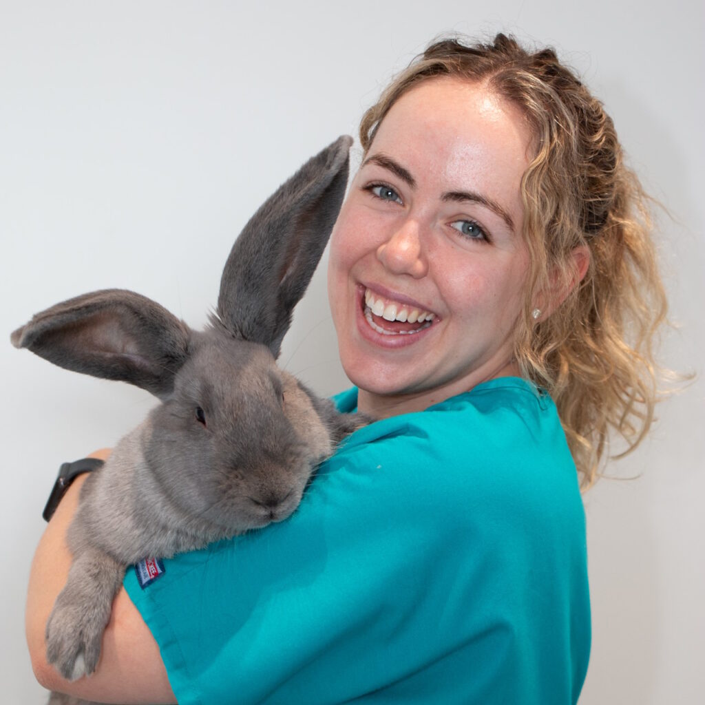 About Us – Highfield Vets