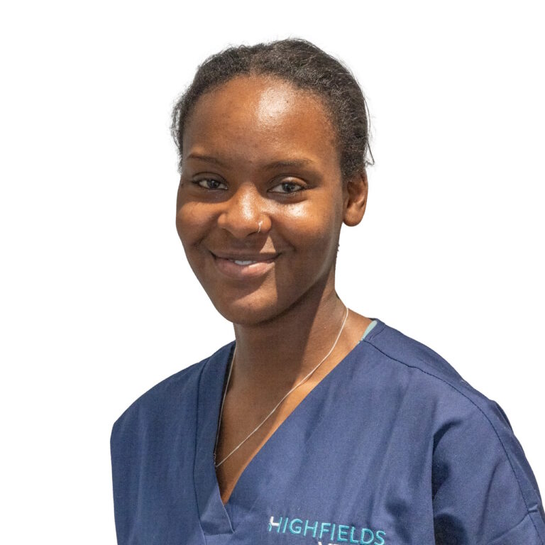 About Us – Highfield Vets